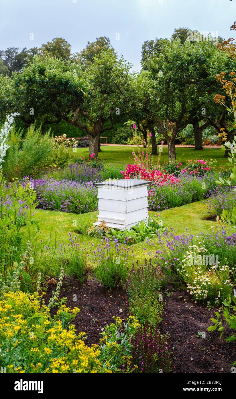 Beekeeping tourism hi-res stock photography and images - Alamy