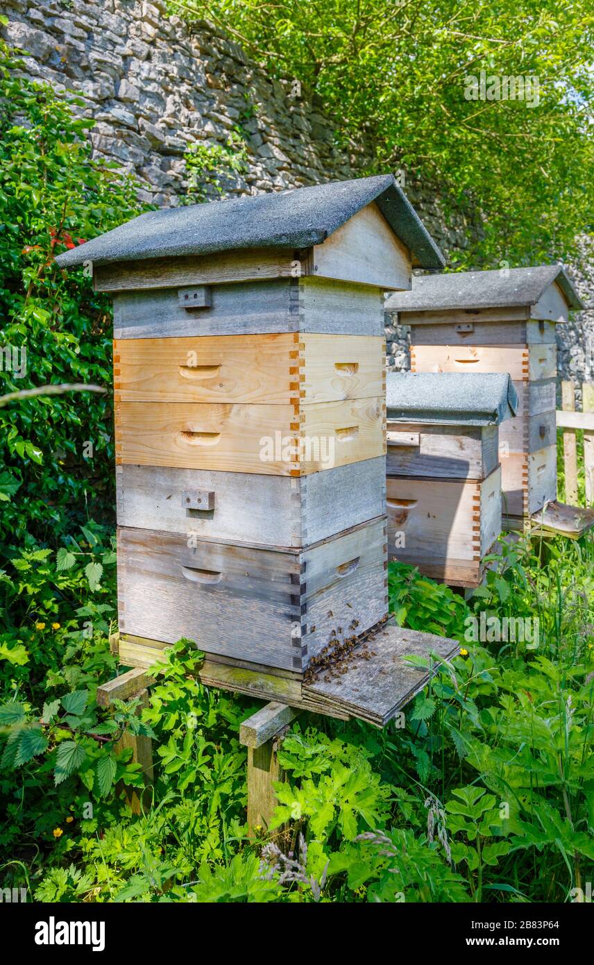 Traditional bee hives uk hi-res stock photography and images - Alamy