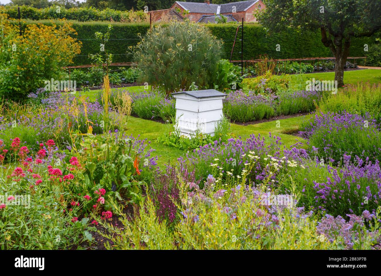 Beehive bees old fashioned hi-res stock photography and images - Alamy