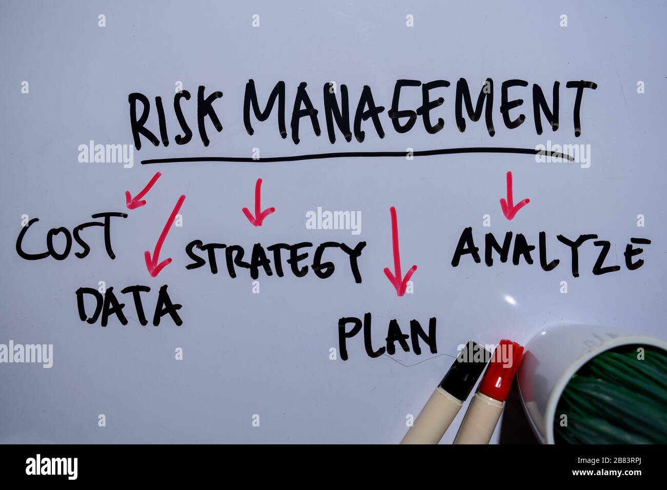 Risk Management text with keywords isolated on white board background ...