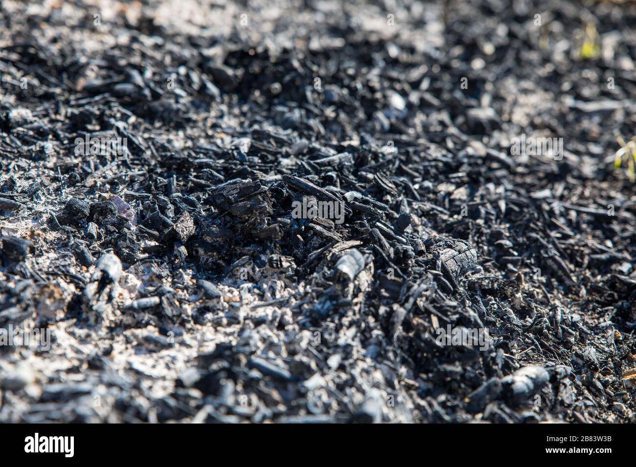 remains of coal and ash Stock Photo - Alamy