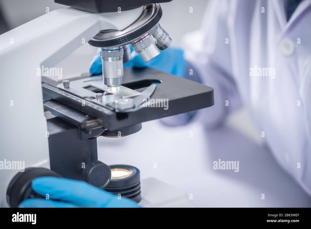 Female technician using light microscope hi-res stock photography and ...