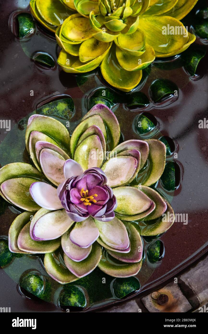 Lotus flowers sitting in a bucket of water, covered with moss and ...