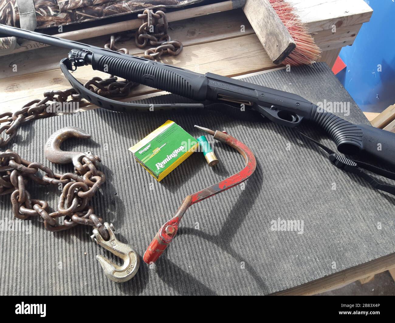 Pump shotgun on a table with chains and bullets Stock Photo - Alamy