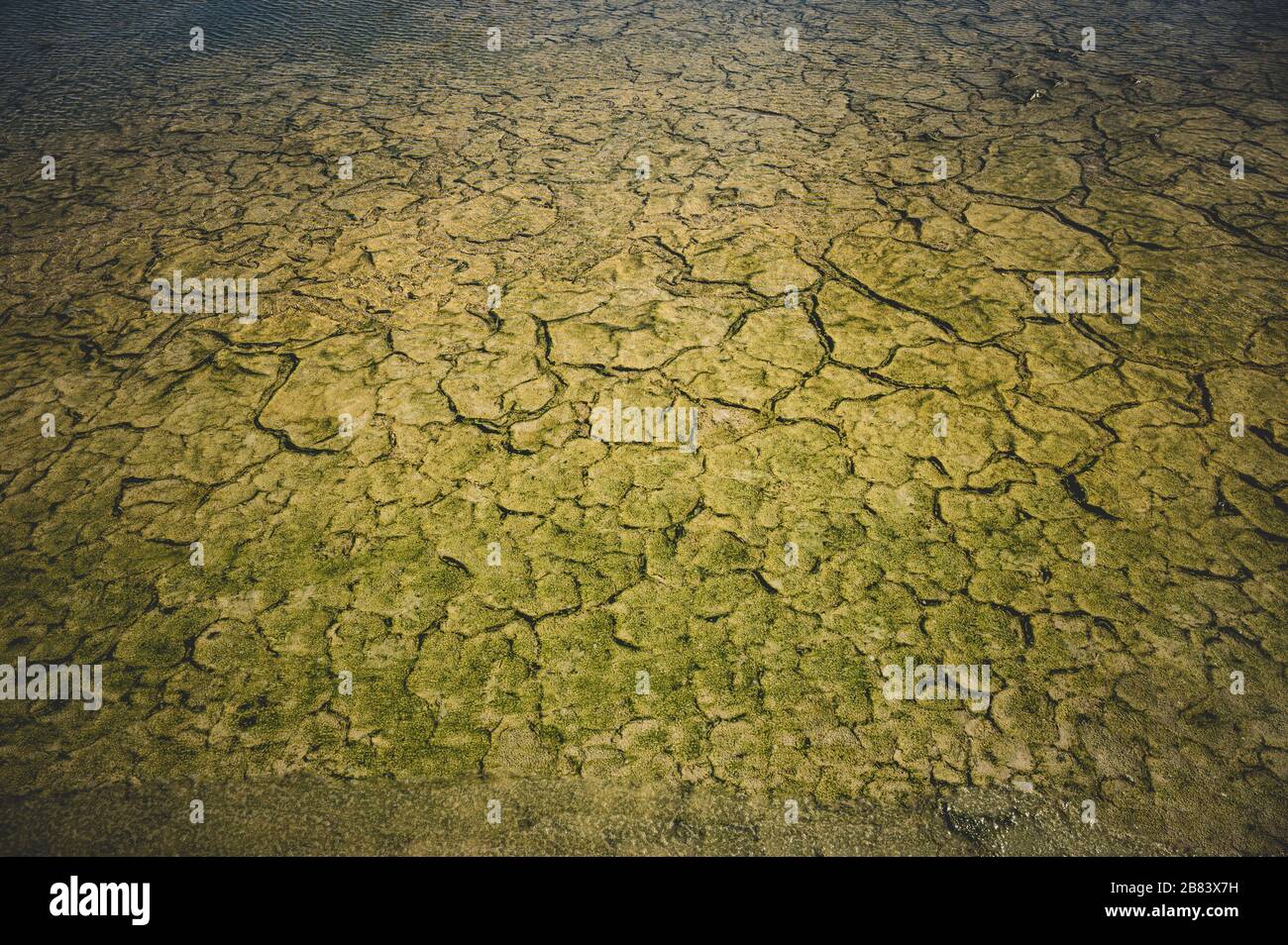 The view and effect of dryness land from the climate change Stock Photo ...