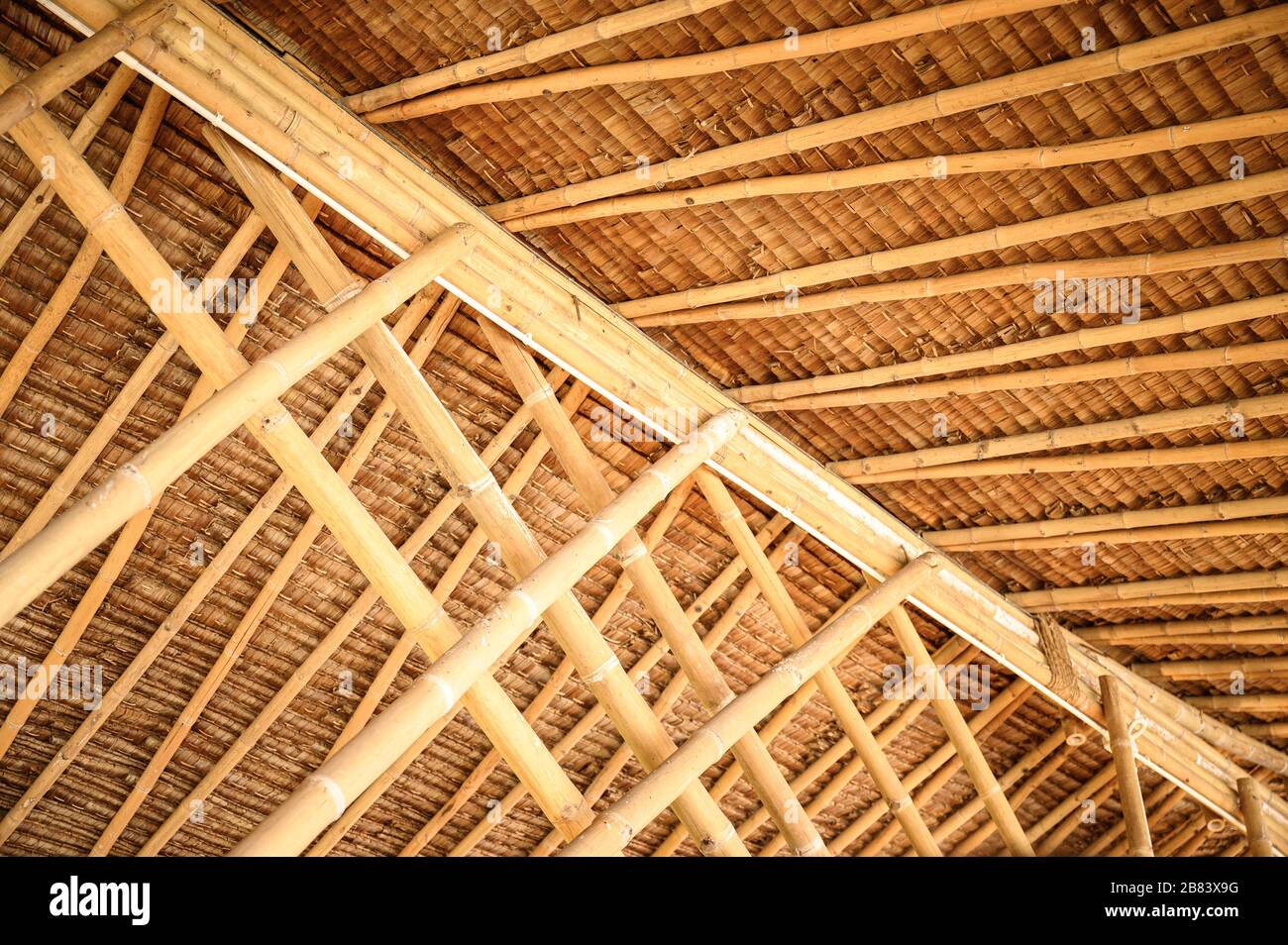 texture background of bamboo roof Stock Photo - Alamy