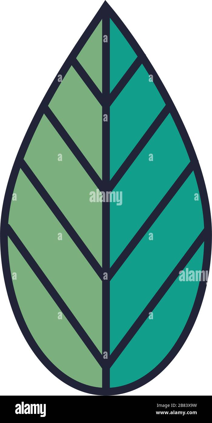 ecology leaf plant nature icon Stock Vector Image & Art - Alamy