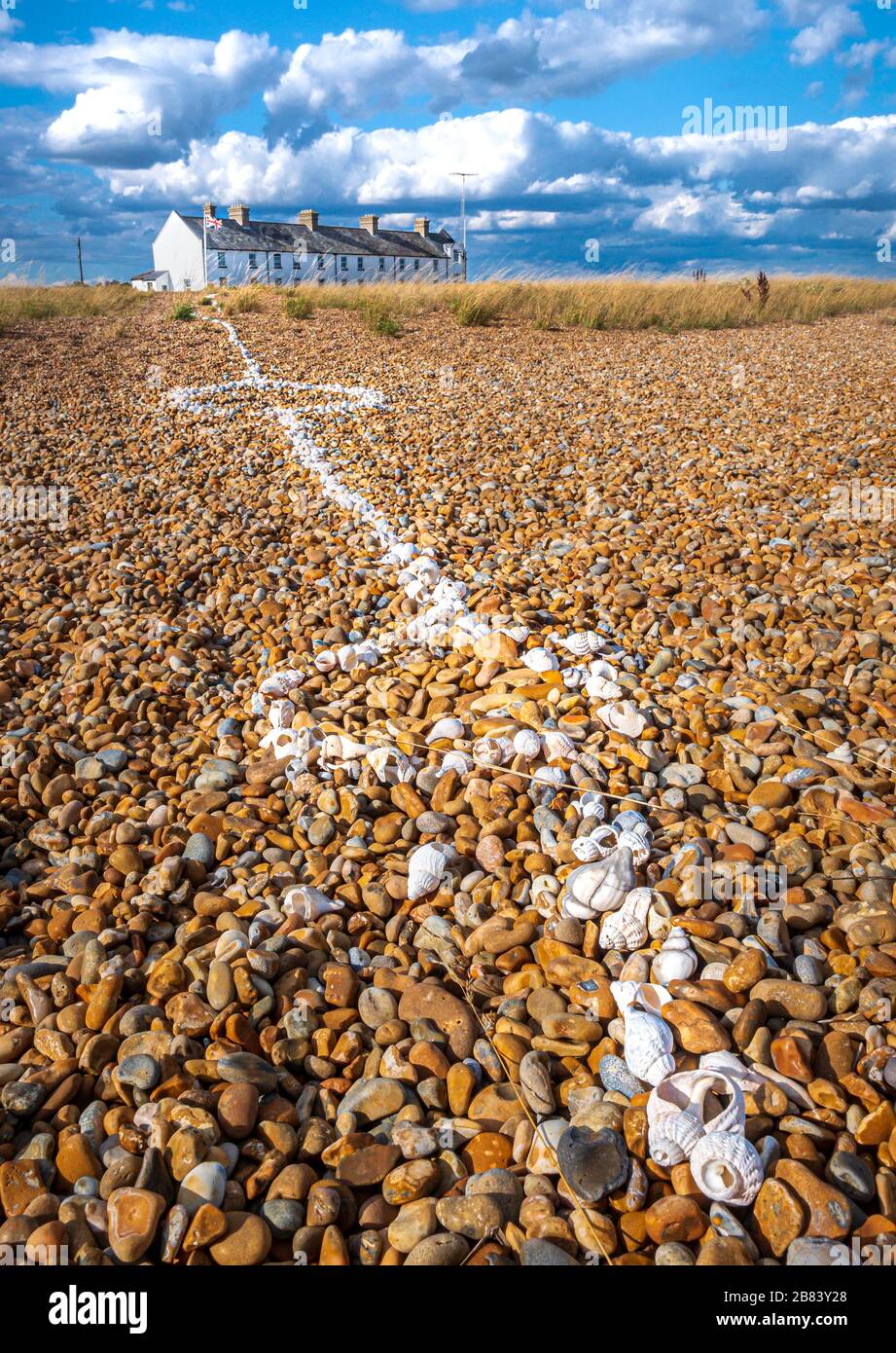 Shingle Street Suffolk with line of shells Stock Photo - Alamy