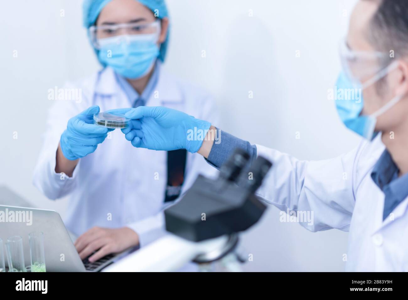 Collaboration of researchers in the laboratory For alternative energy ...