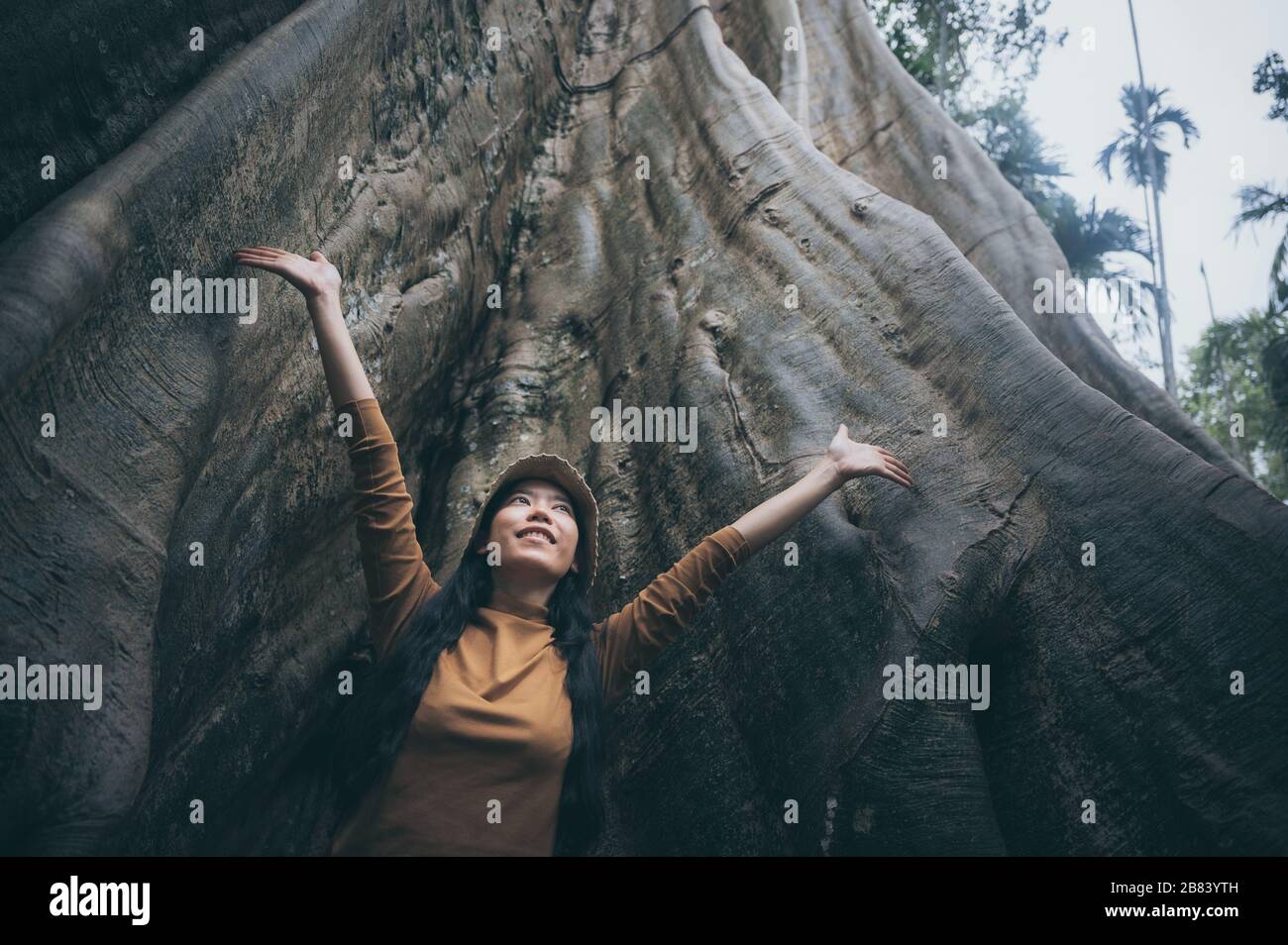 nature connecting concept, Human Relaxation with tree Stock Photo - Alamy
