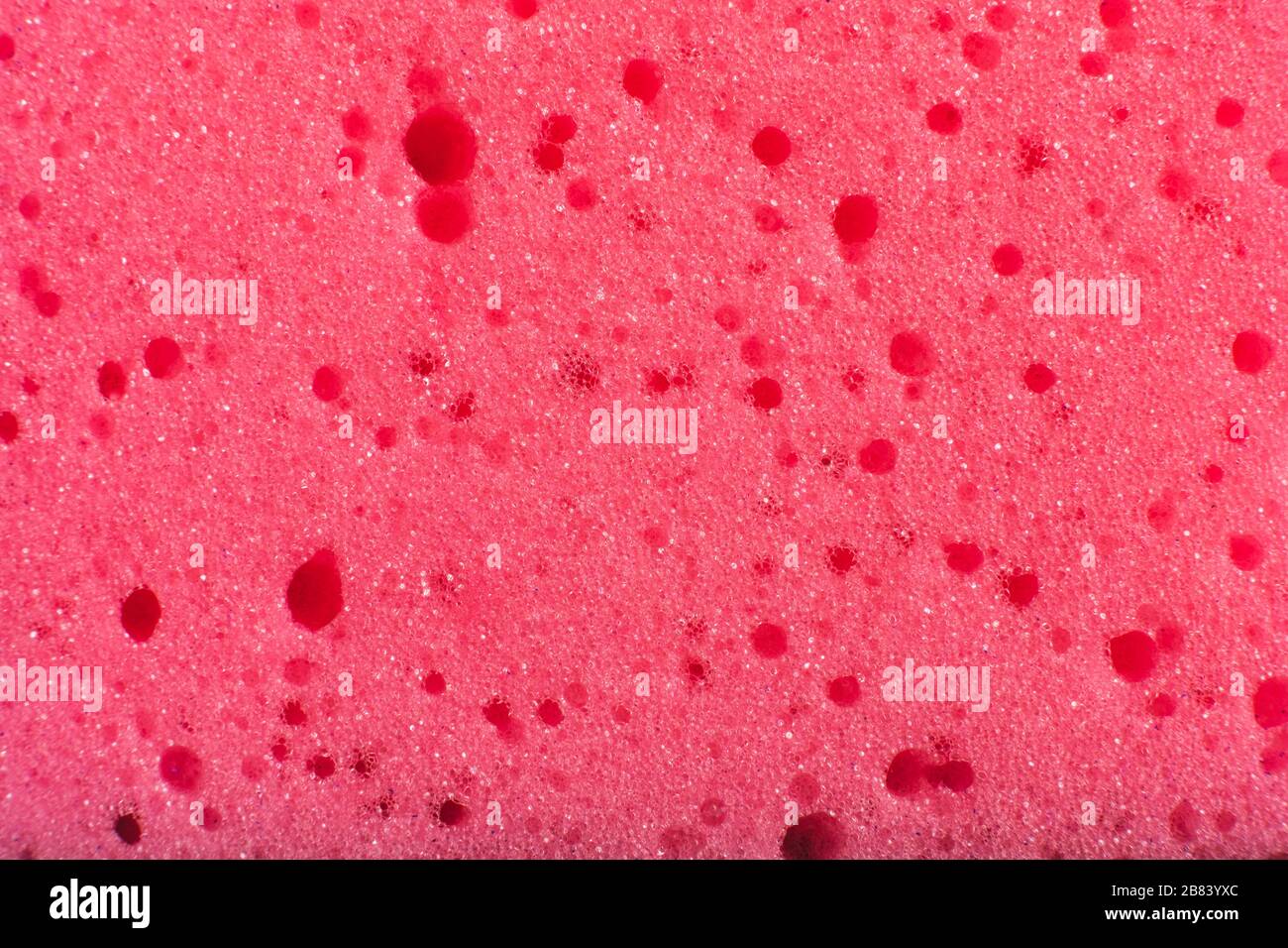Sponge texture background Stock Photo - Alamy