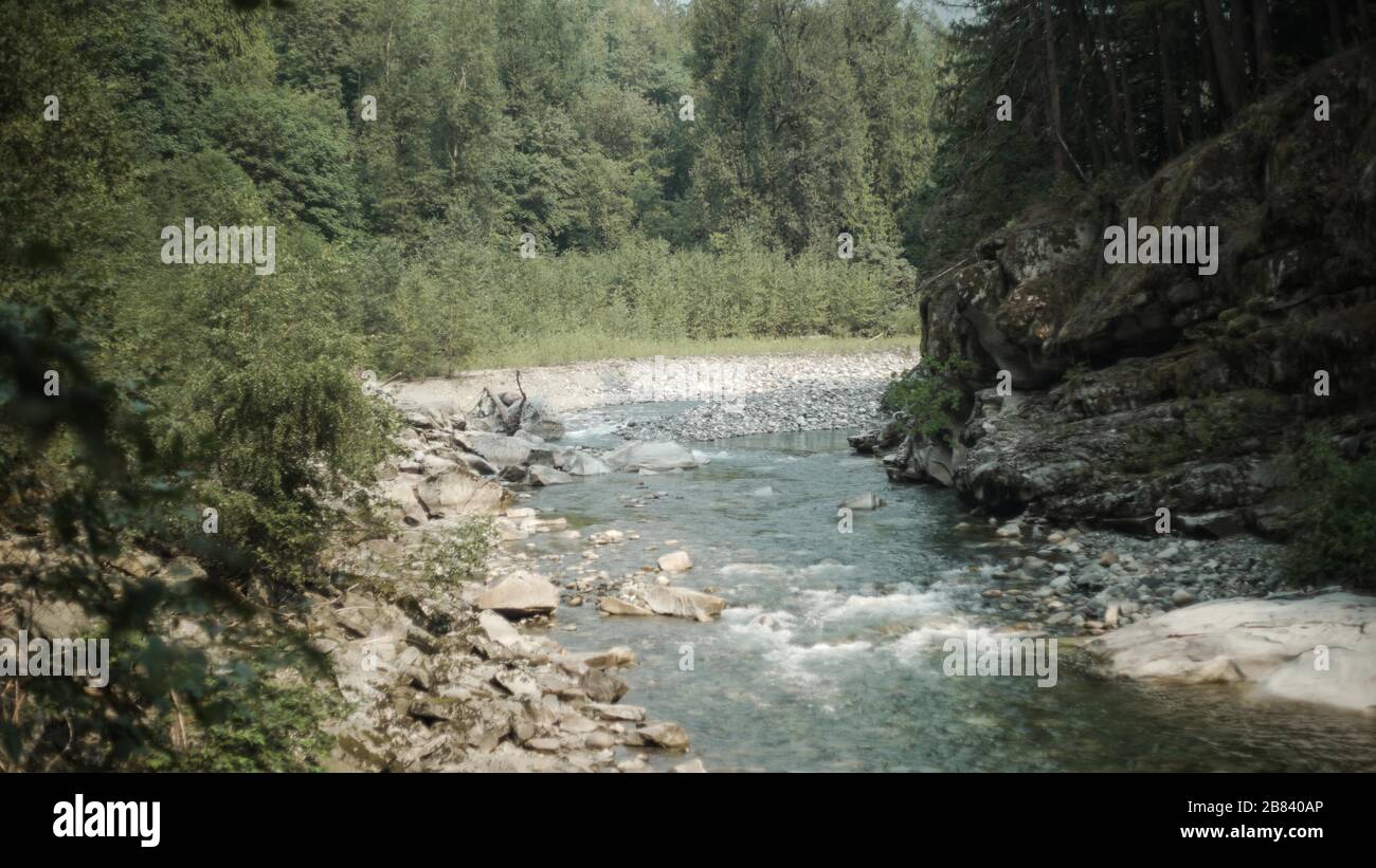 River flowing through a forest park in British Columbia Canada Stock ...