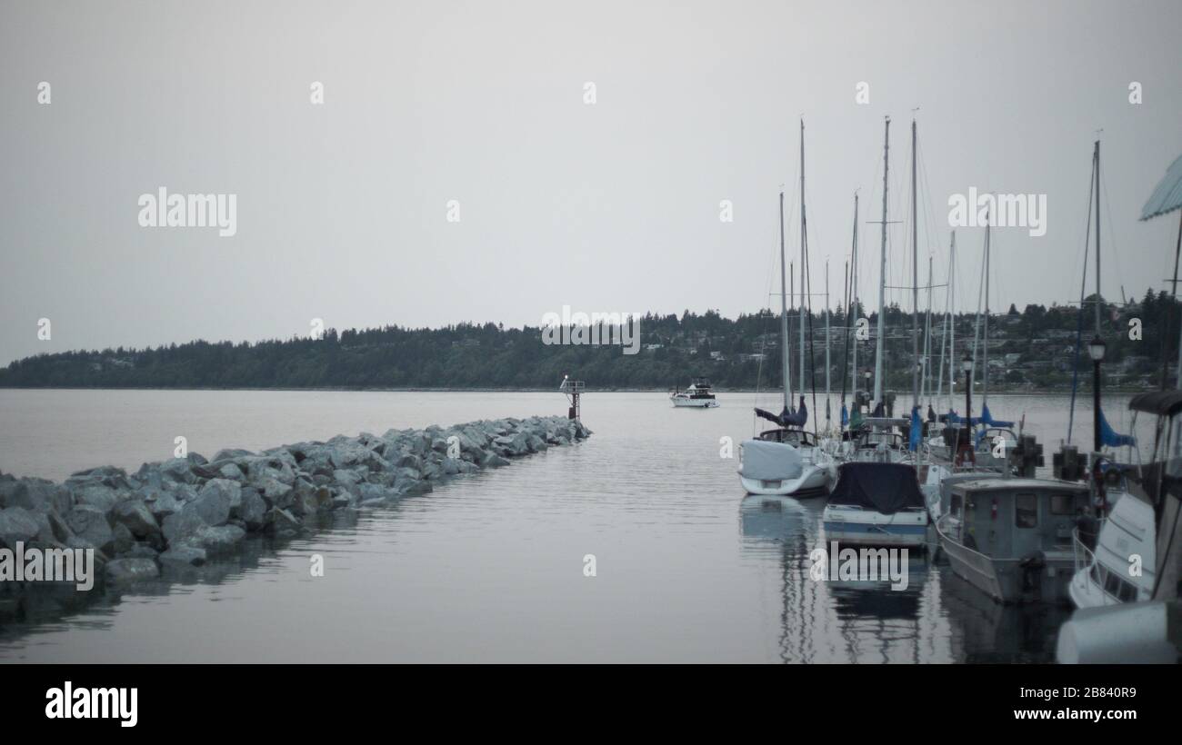 Large strip of rocks near a treeline by a boat dock in the ocean Stock ...