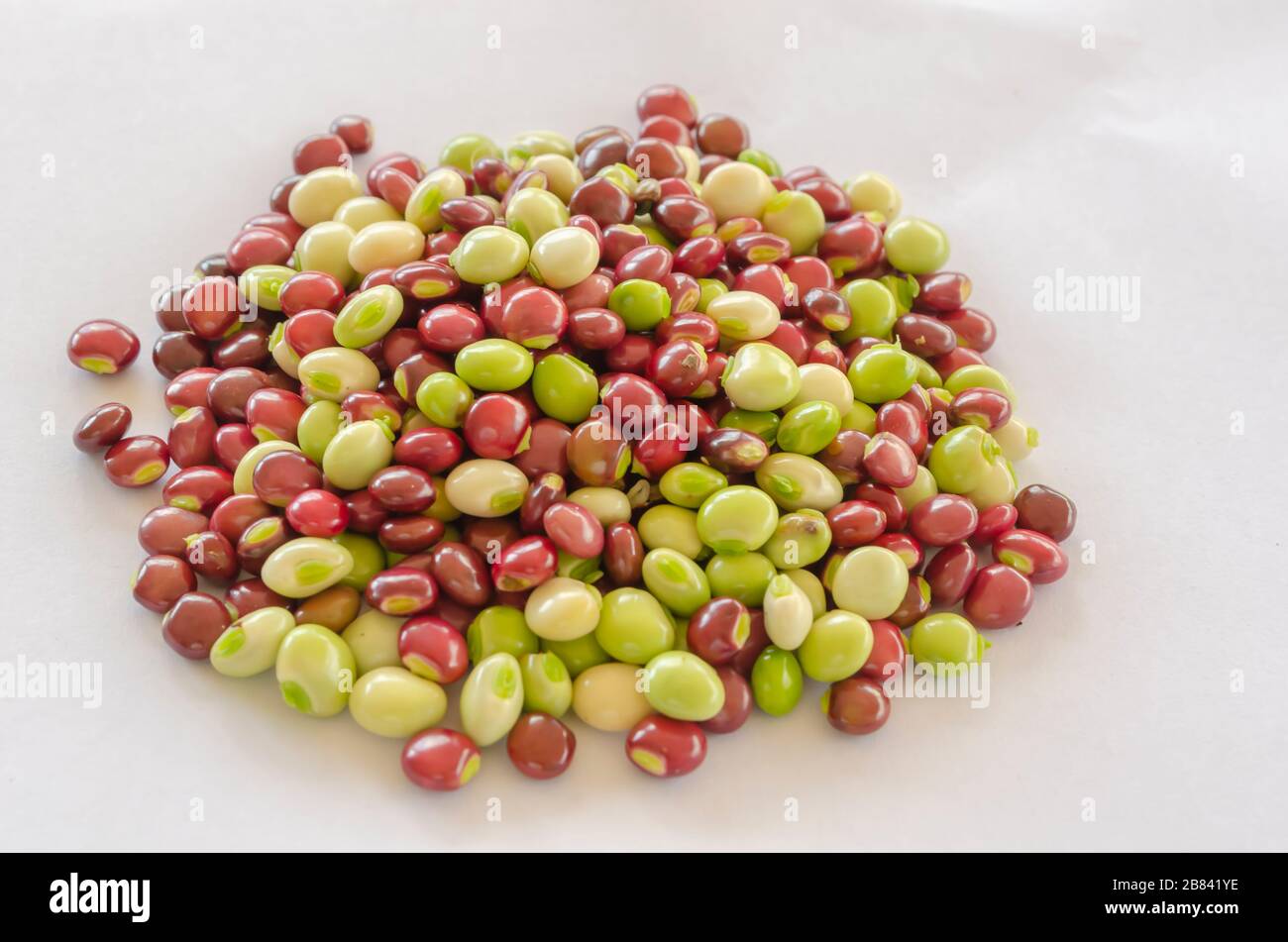 Togari bele hi-res stock photography and images - Alamy