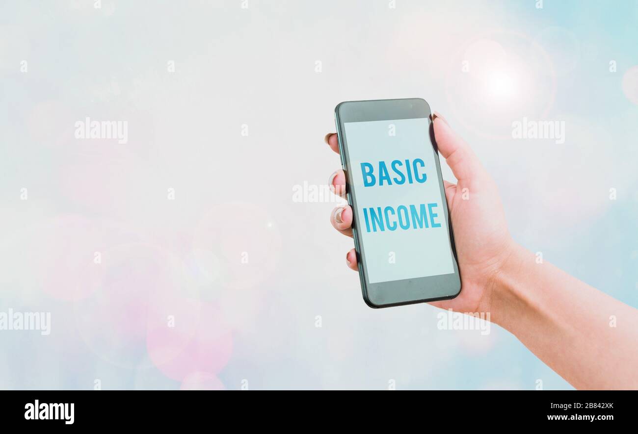 Text sign showing Basic Income. Business photo showcasing periodic cash ...