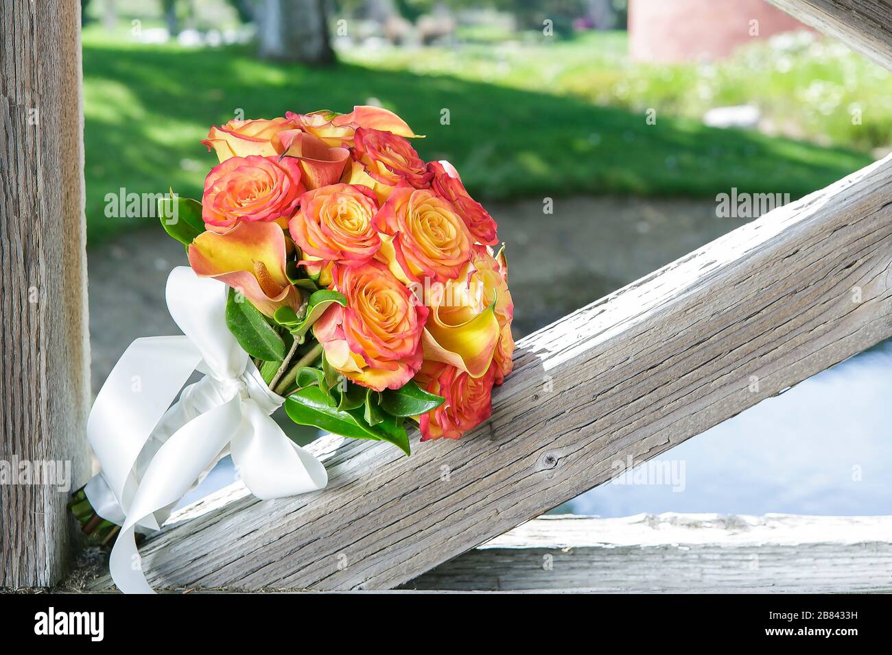 Vintage car sterring wheel hi-res stock photography and images - Alamy