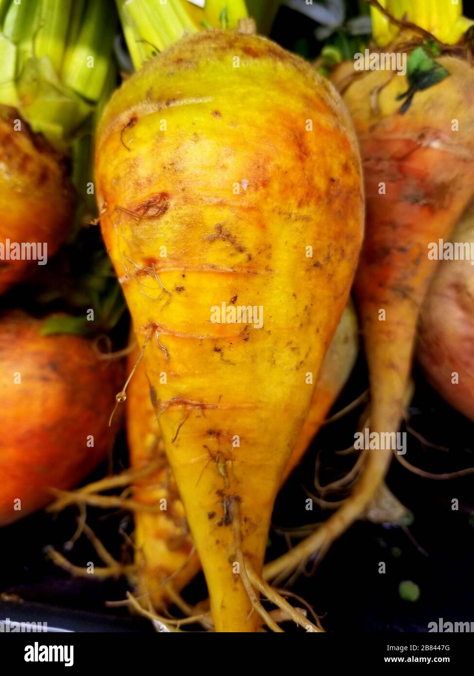 Golden beets hi-res stock photography and images - Alamy