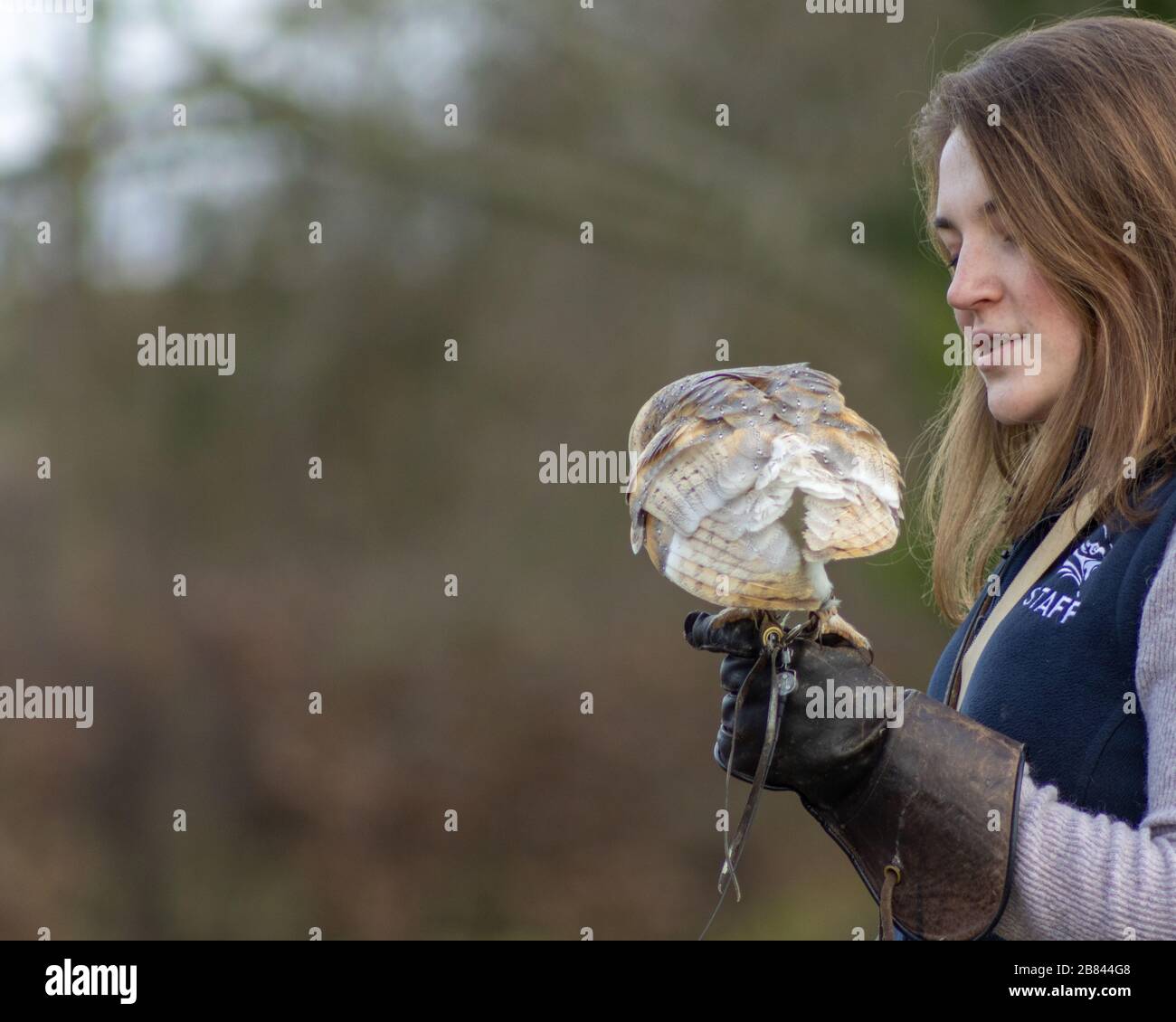 Symbol of the rspb hi-res stock photography and images - Alamy