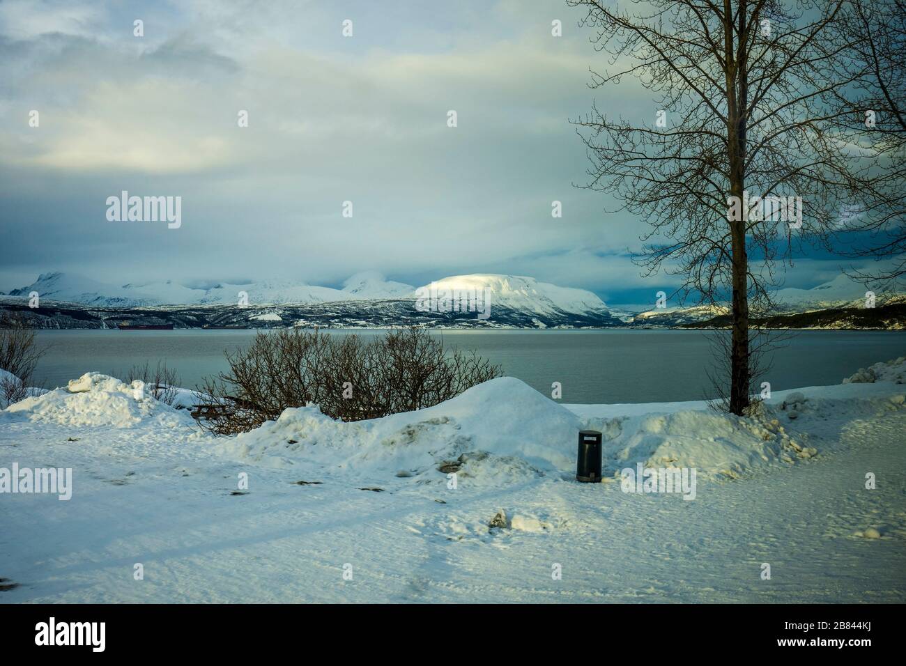 Polar park narvik hi-res stock photography and images - Alamy