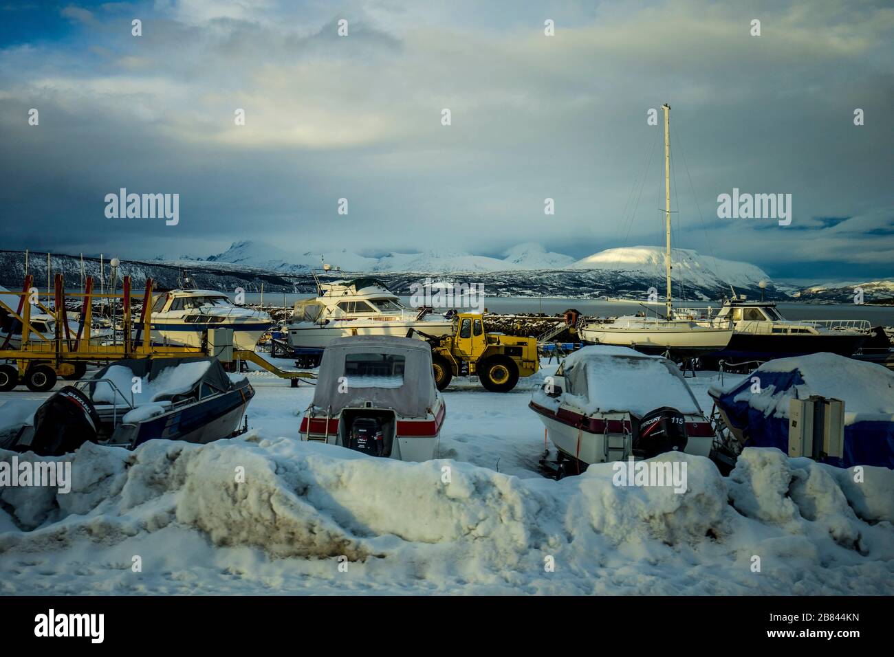 Polar park narvik hi-res stock photography and images - Alamy