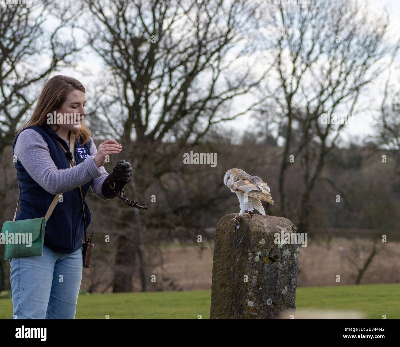 Symbol of the rspb hi-res stock photography and images - Alamy