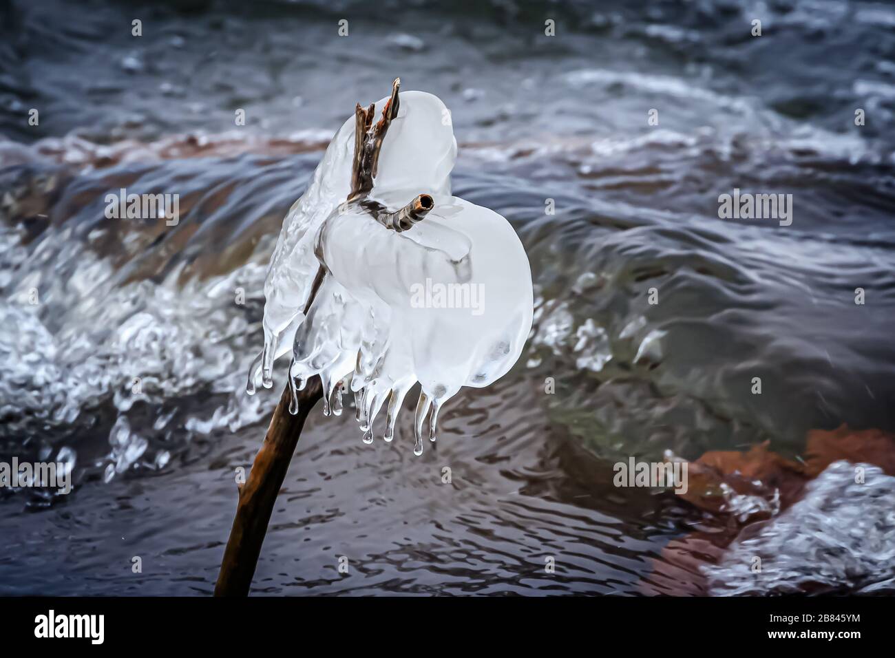 Natural ice sculptures hi-res stock photography and images - Alamy