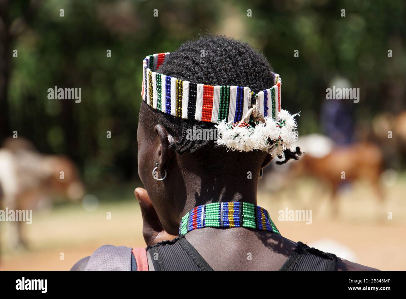 Back View of the traditionally decorated Head of a Tribal Man at Key ...