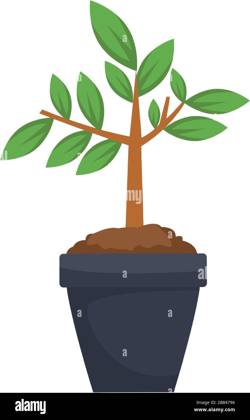 tree plant in pot nature icon Stock Vector Image & Art - Alamy