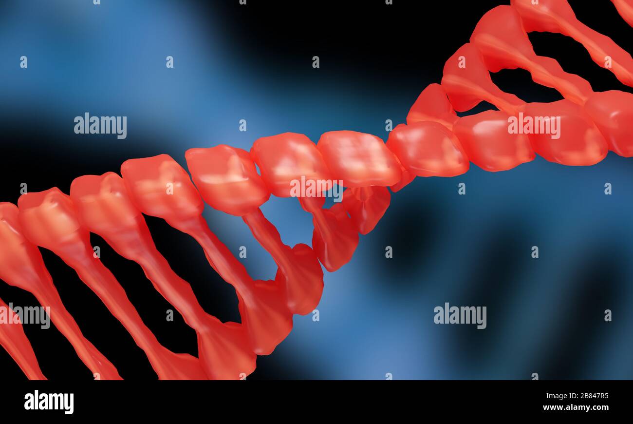 Digital 3d model of DNA structure,3d Rendering Stock Photo - Alamy