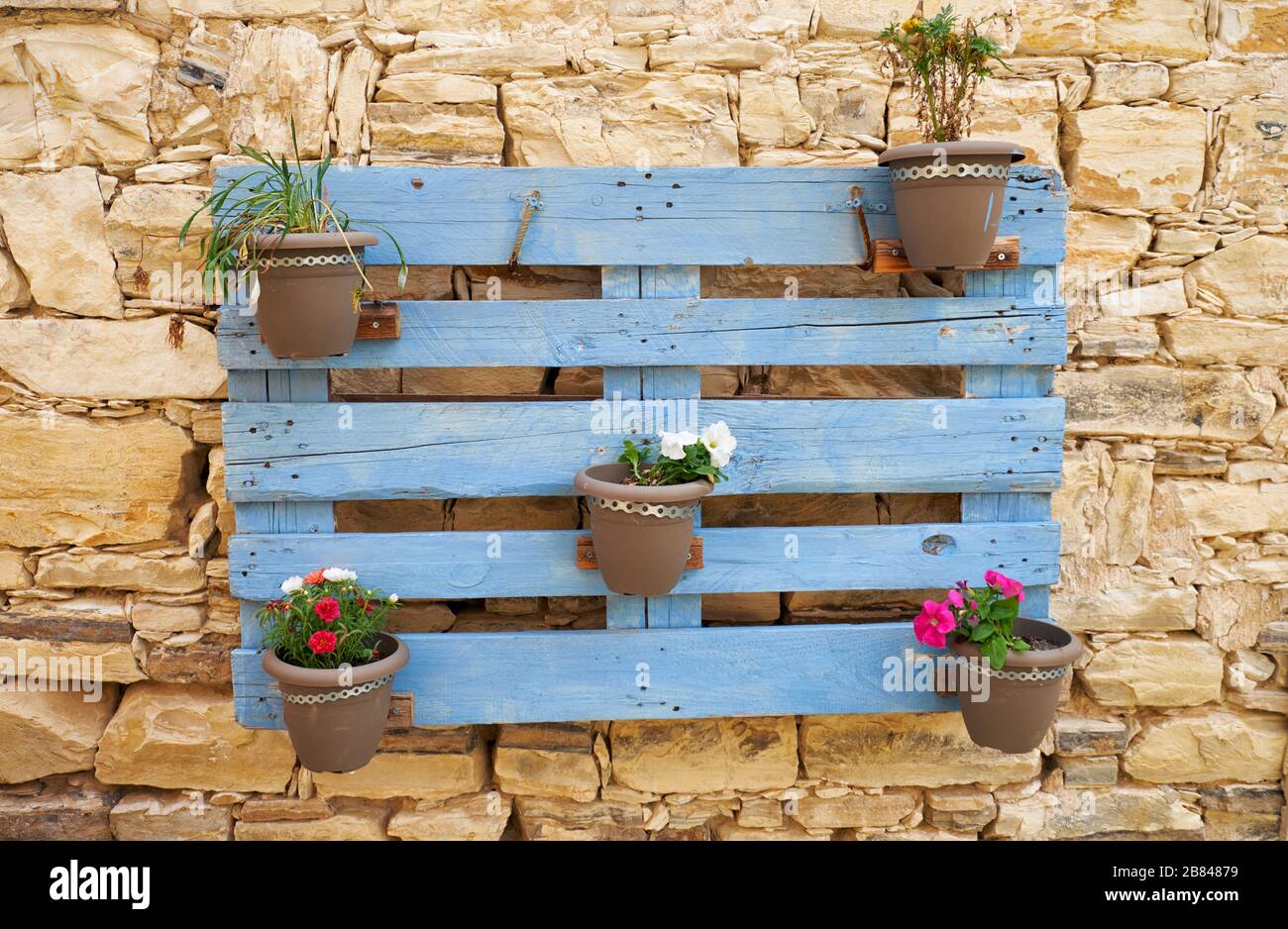 Greek pot plant hi-res stock photography and images - Alamy