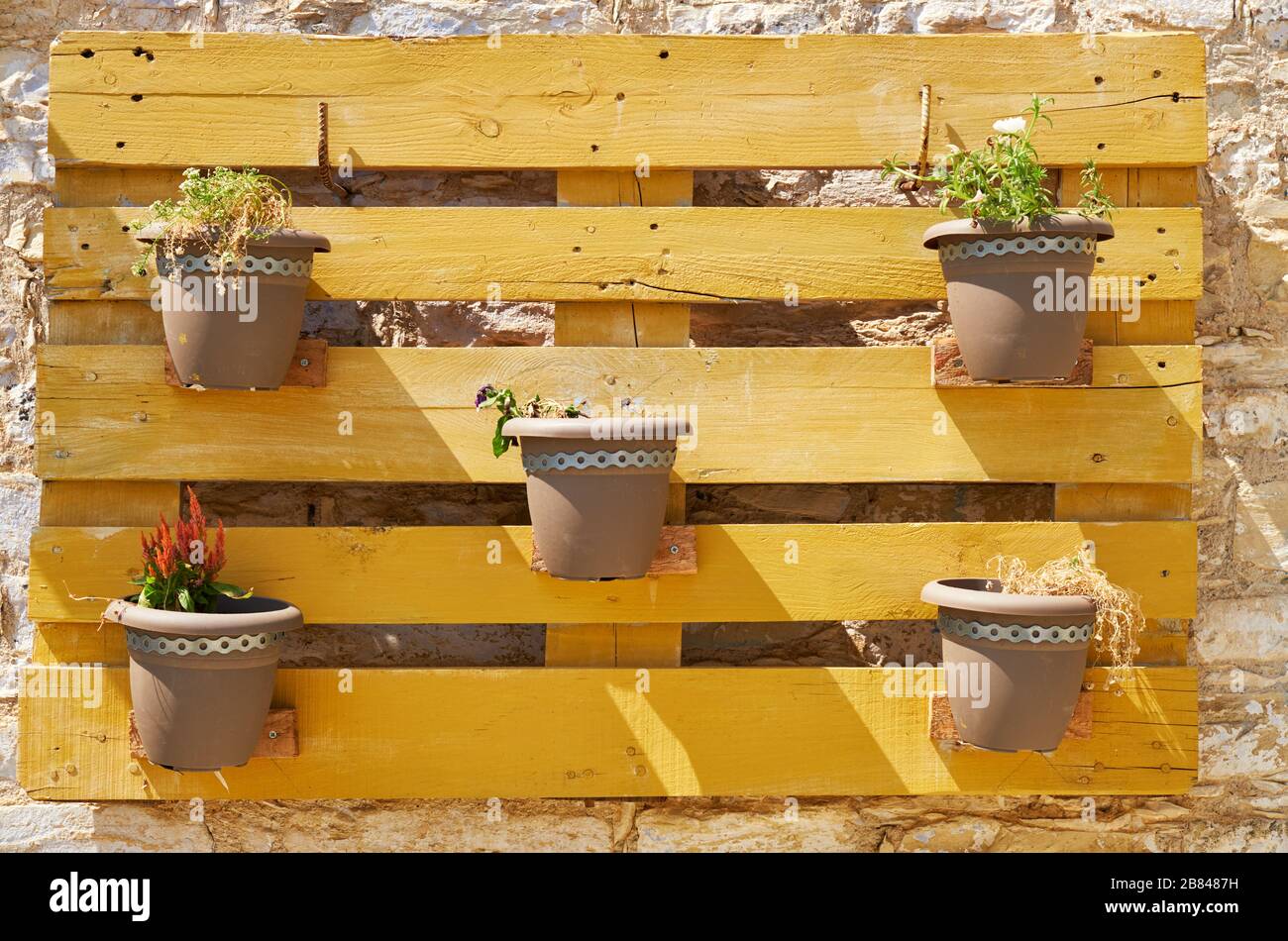 Plant holder hi-res stock photography and images - Alamy