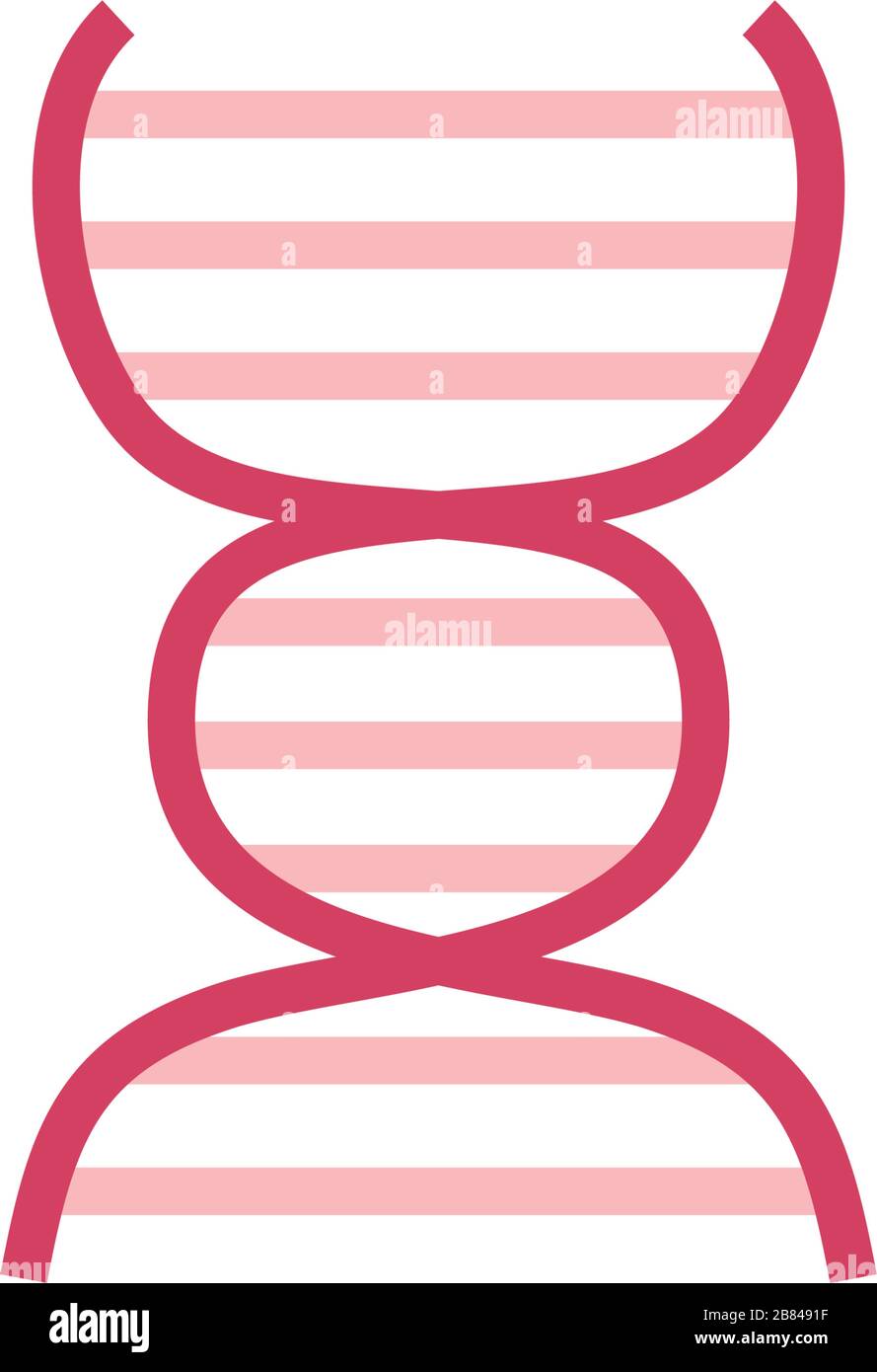 DNA chain icon over white background, flat style icon, vector ...