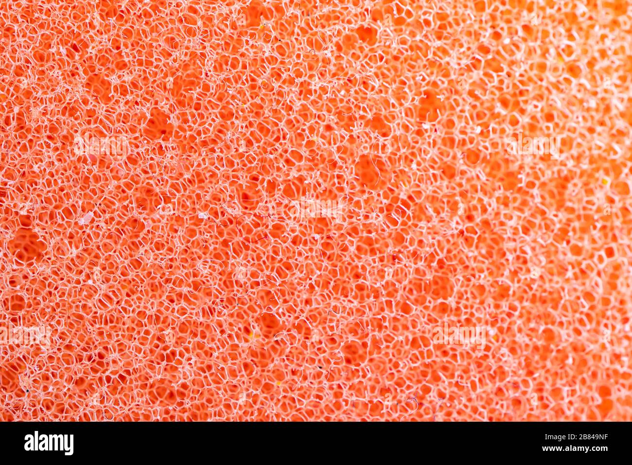 orange sponge detail texture, sponge texture background. Closeup, macro ...