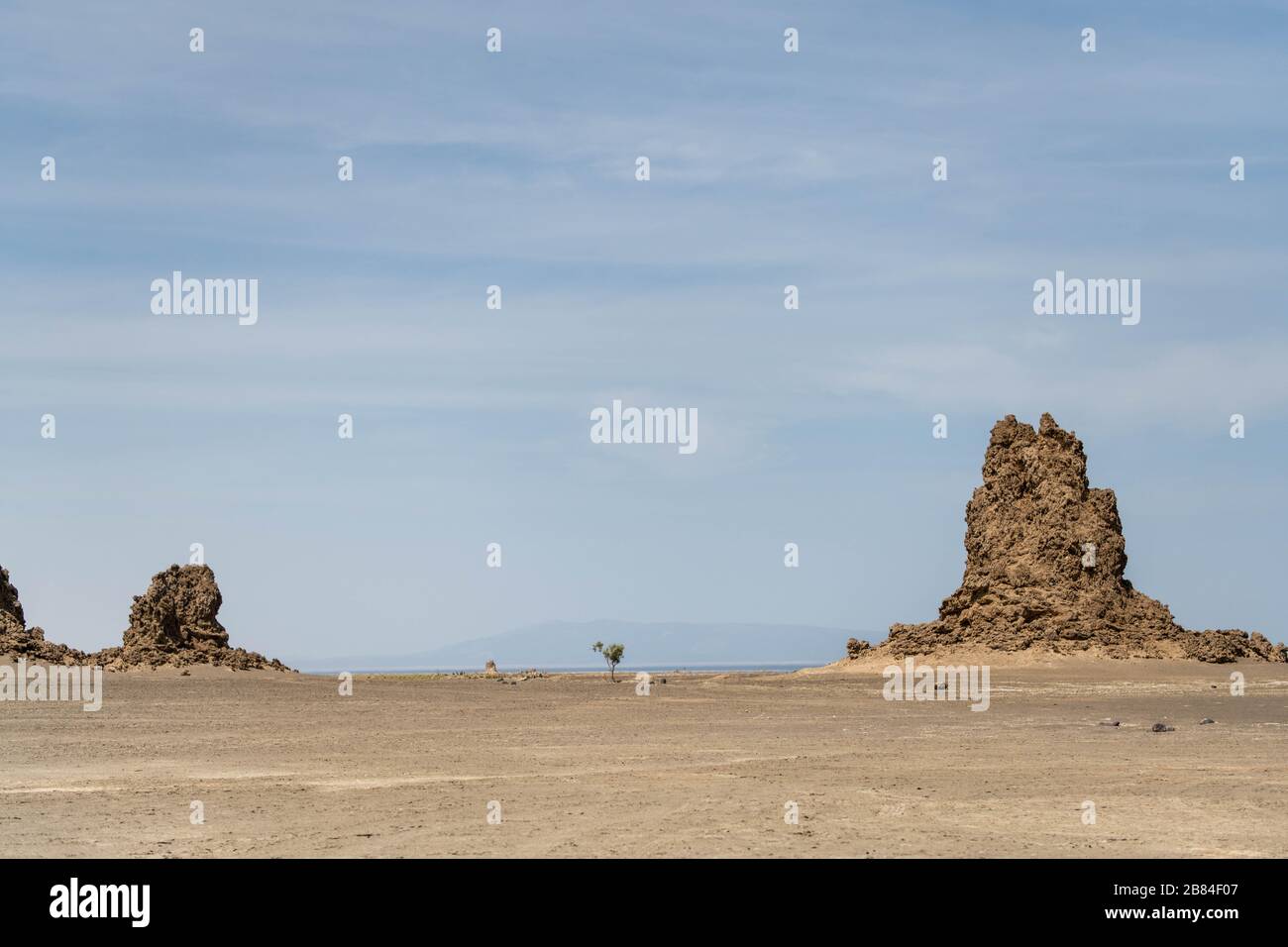 Africa, Djibouti, Lake Abbe. Landscape view of lake Abbe. A tree stands ...