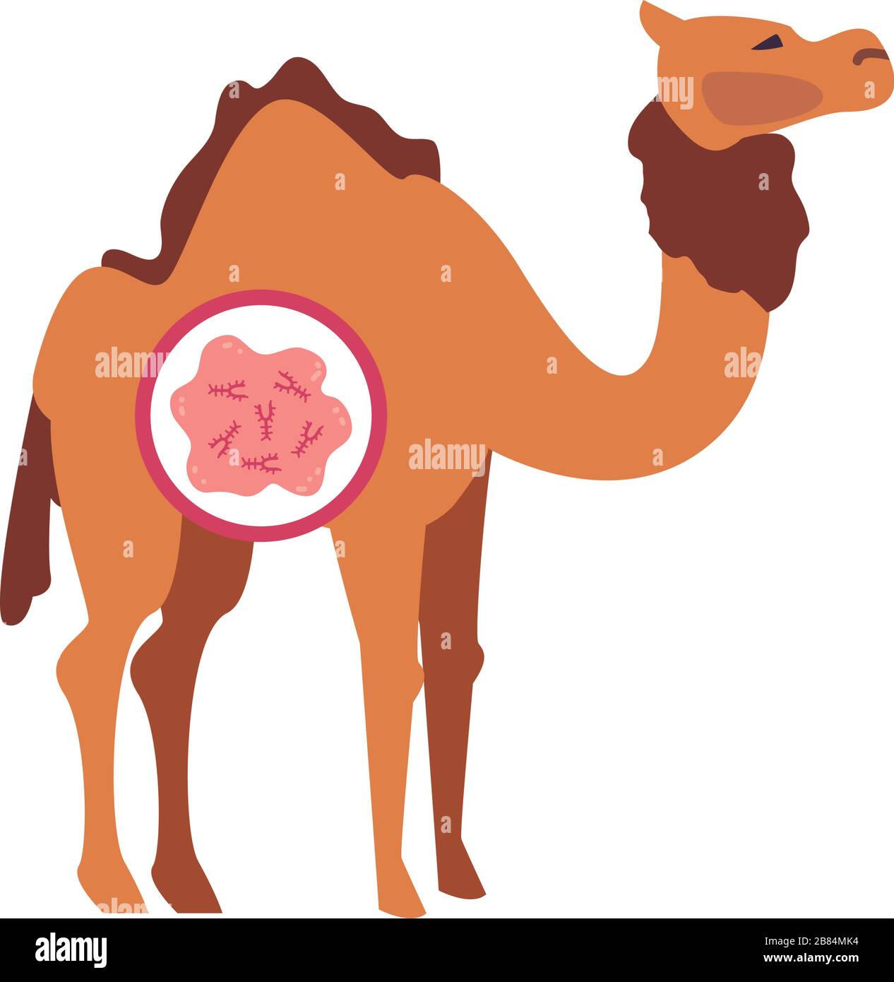 camel with mers covid 19 virus icon over white background, flat style ...