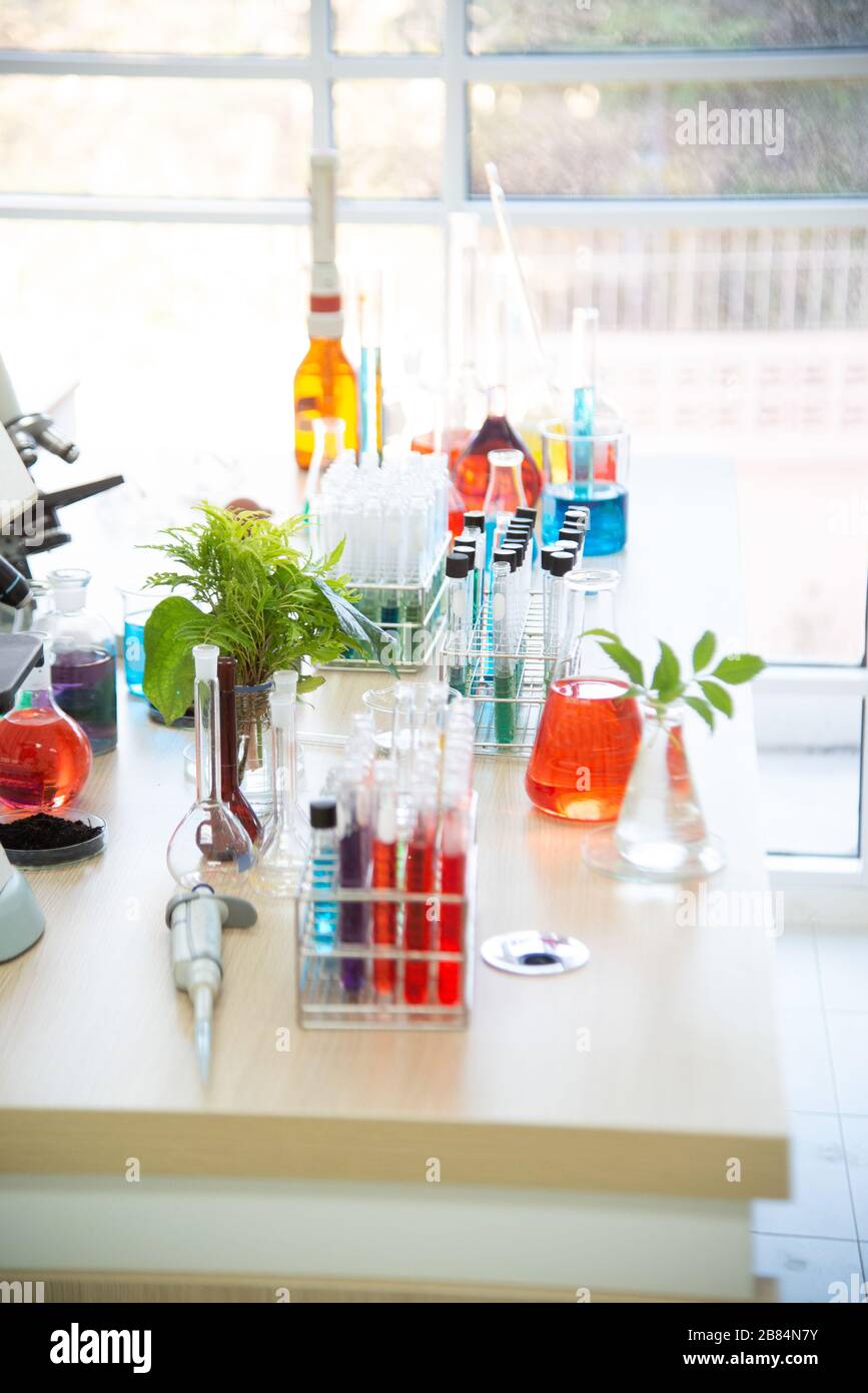 Medical research lab or Laboratory test testing samples or a solution ...