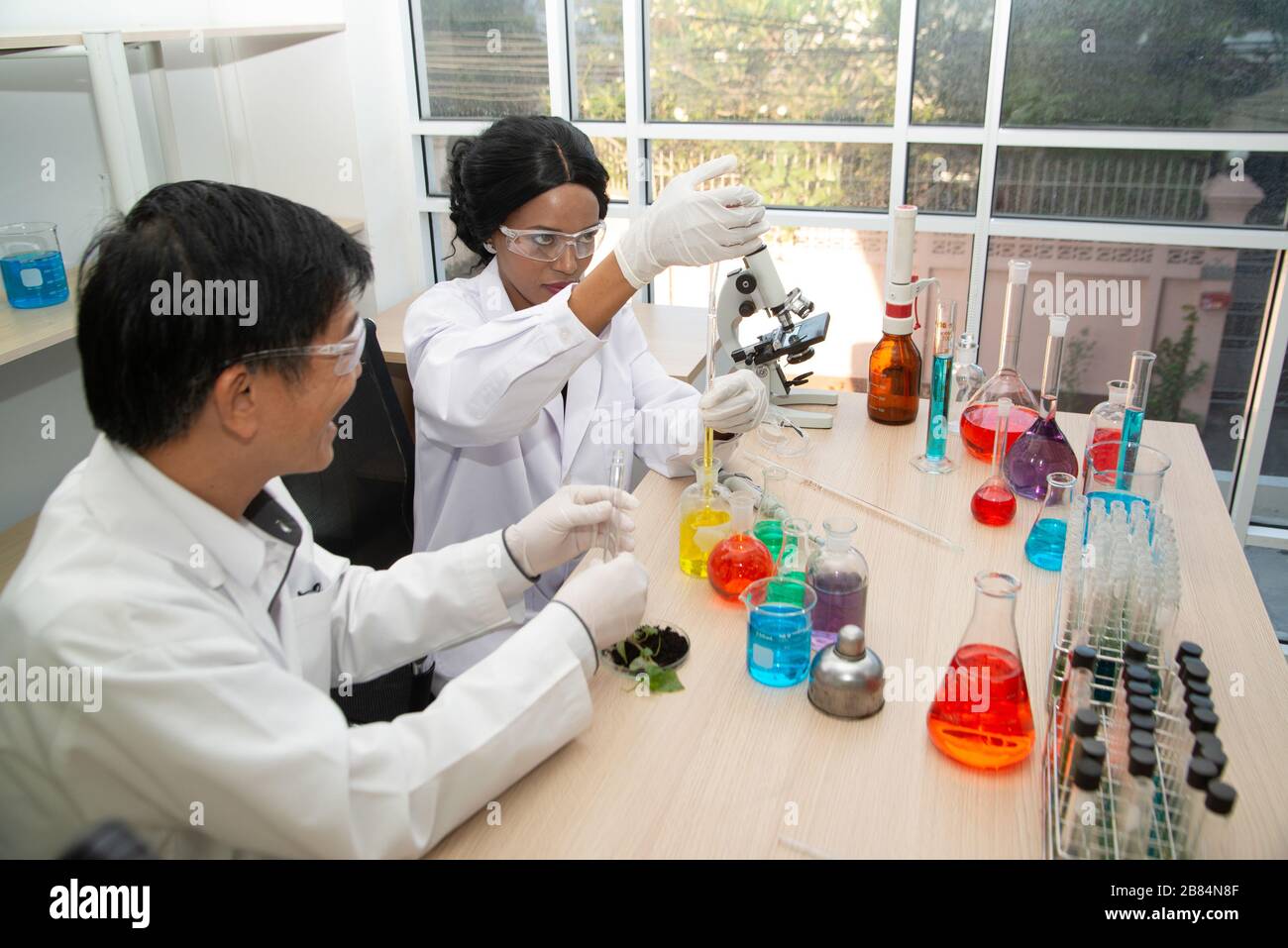 Two scientists are working in laboratory. Young female researcher and ...