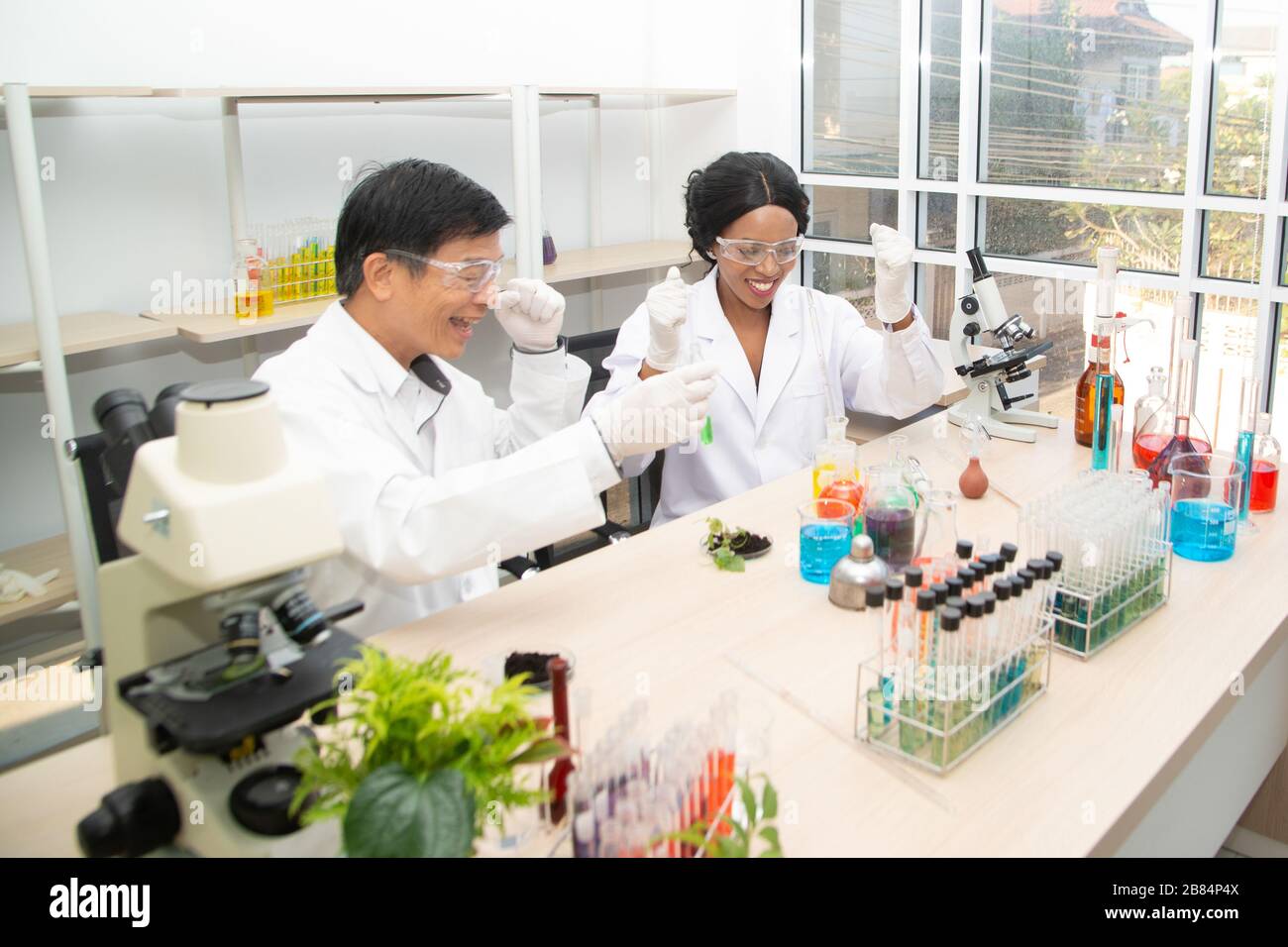 Two scientists are working in laboratory. Young female researcher and ...