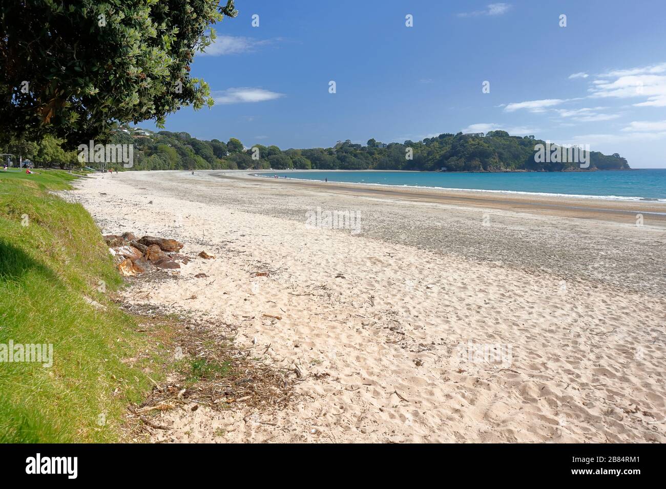 New zealand beach waves hi-res stock photography and images - Alamy