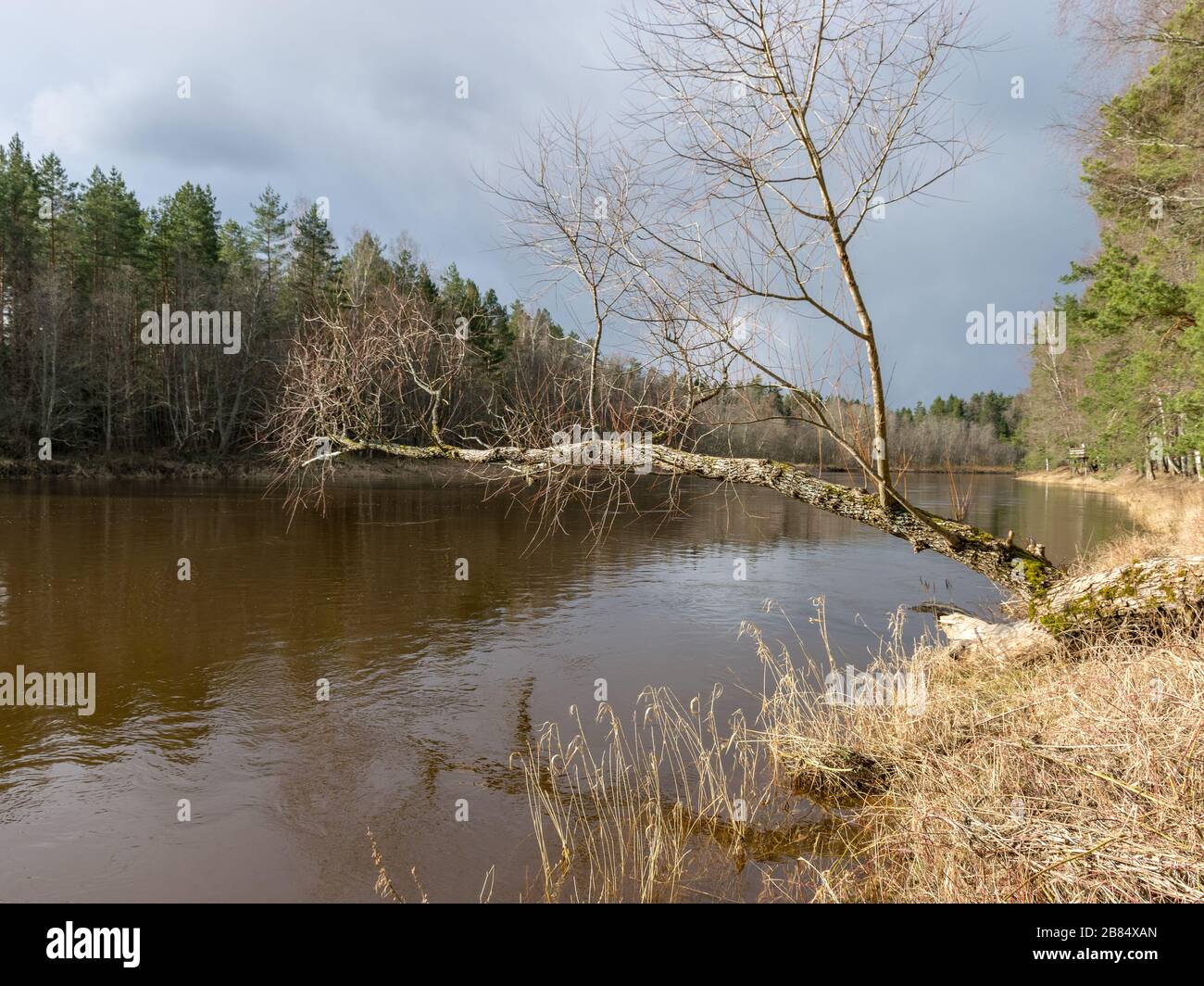 beautiful sunny landscape with river, sun shines on the banks of the ...