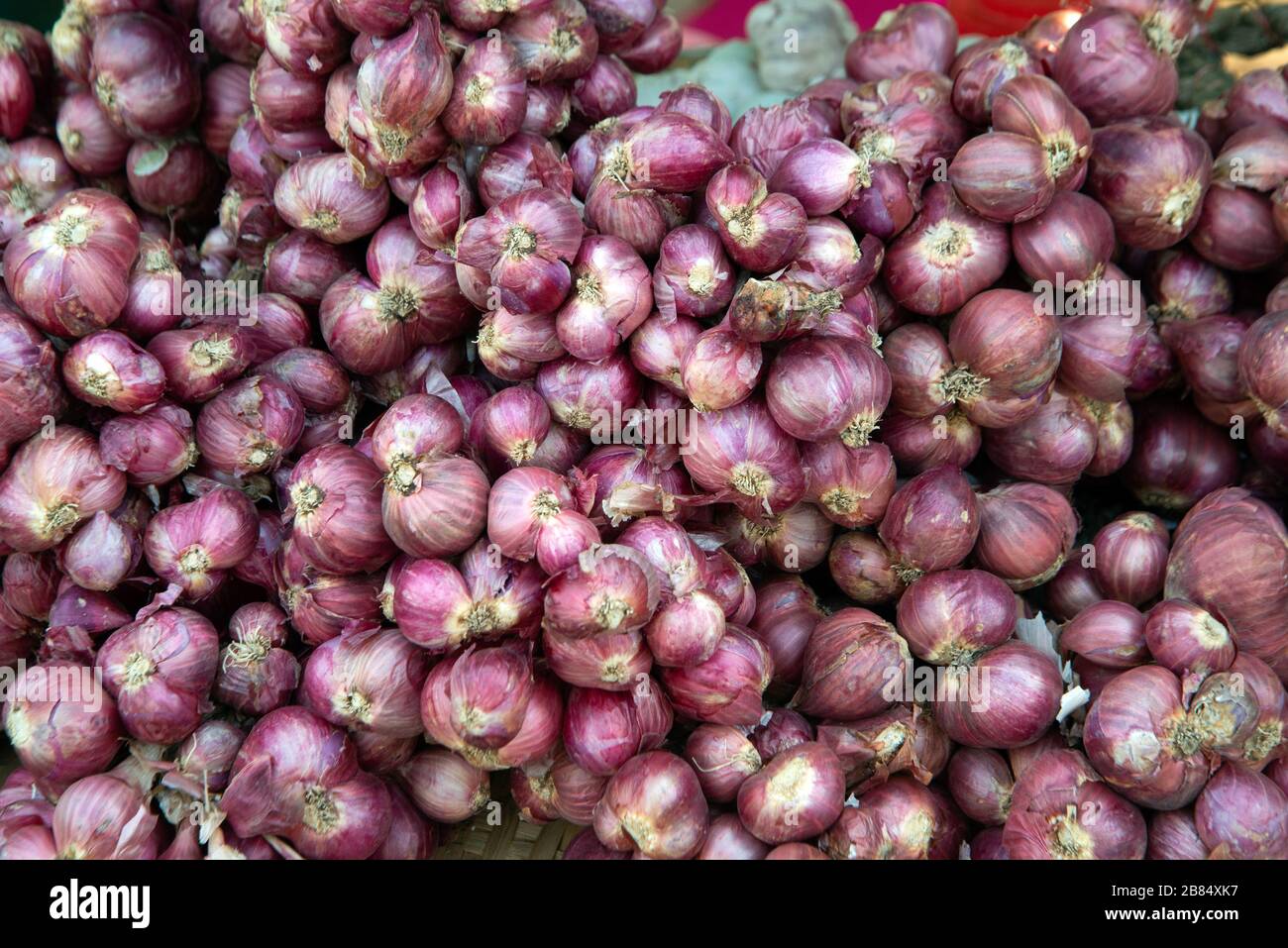Background and texture of organic red onions with uneven shapes and ...