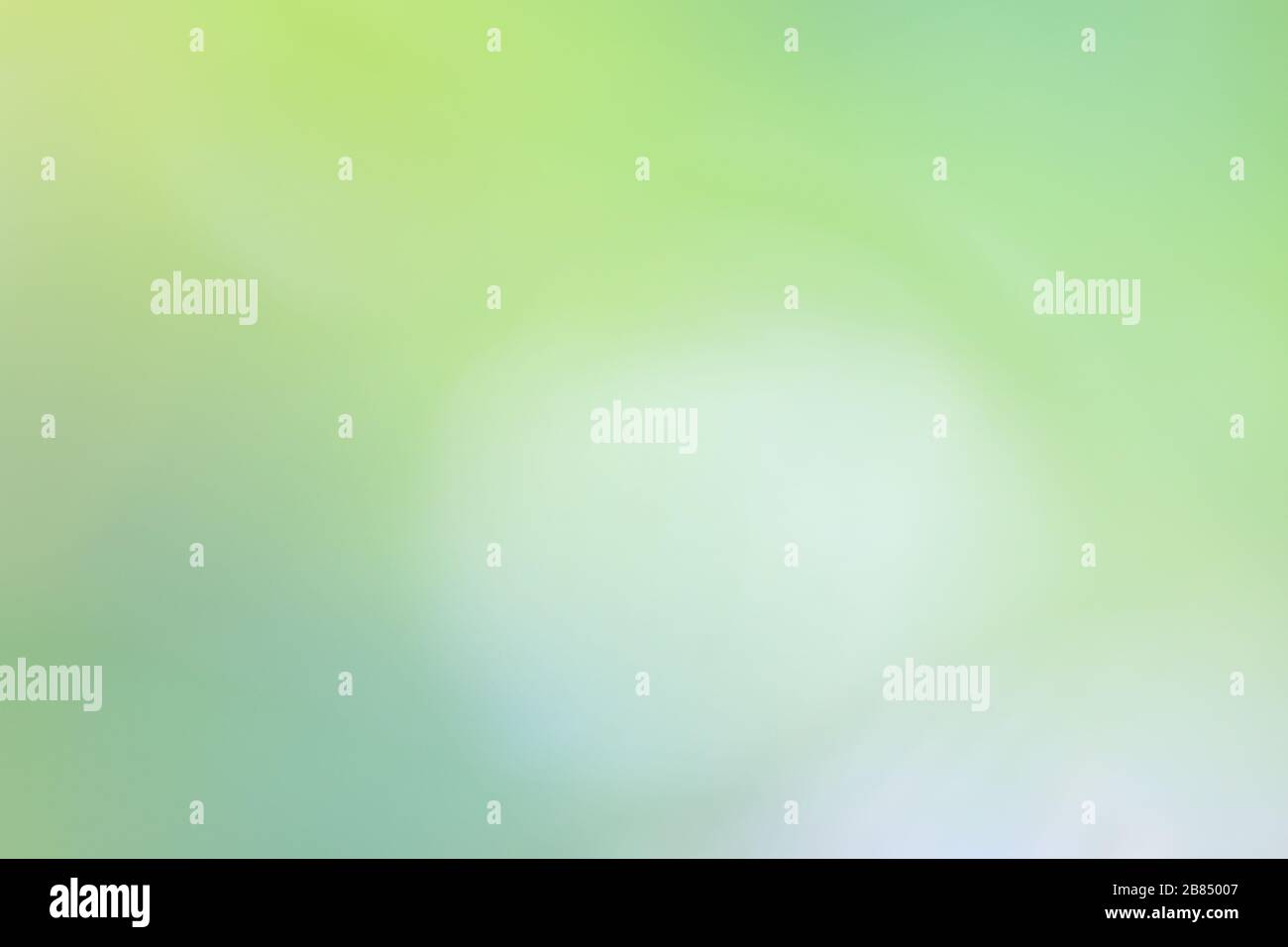 Background soft light green blurry pastel color, Green gradient graphic ...