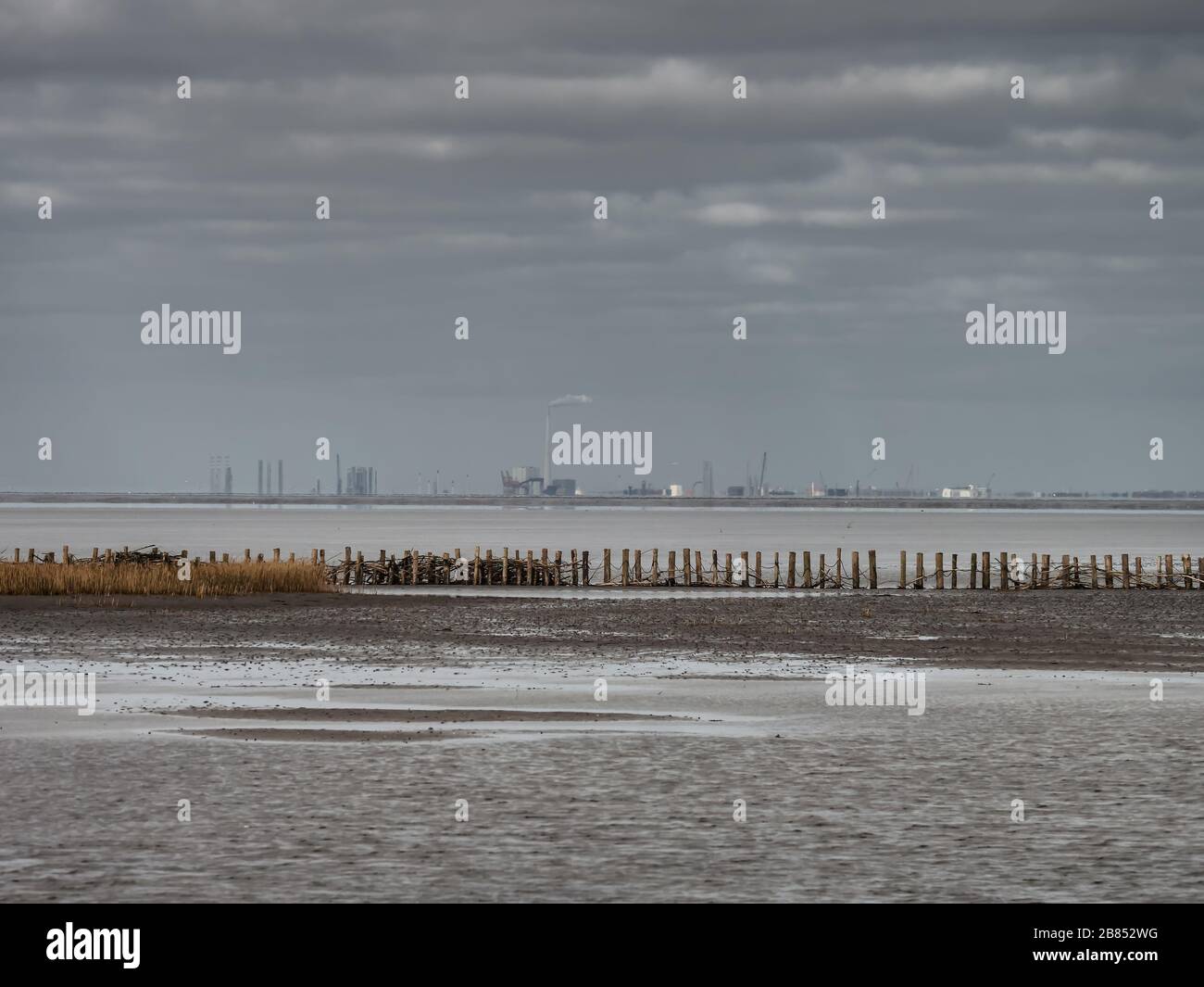 Ebb tide Road on the wadden sea to the island Mandoe, Esbjerg Denmark ...
