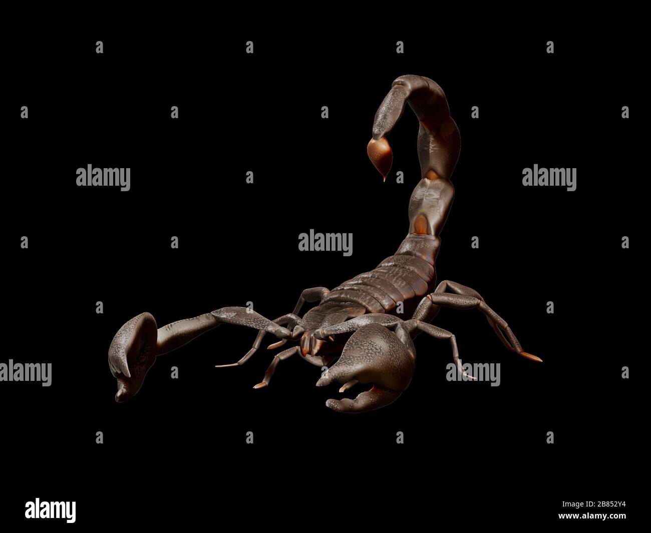 Imperial scorpio isolated on black background. Result of rendering 3d ...