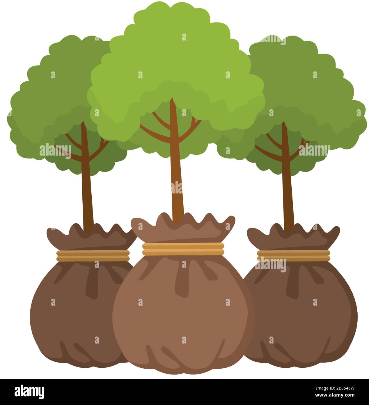 trees plants in bags nature icons Stock Vector Image & Art - Alamy