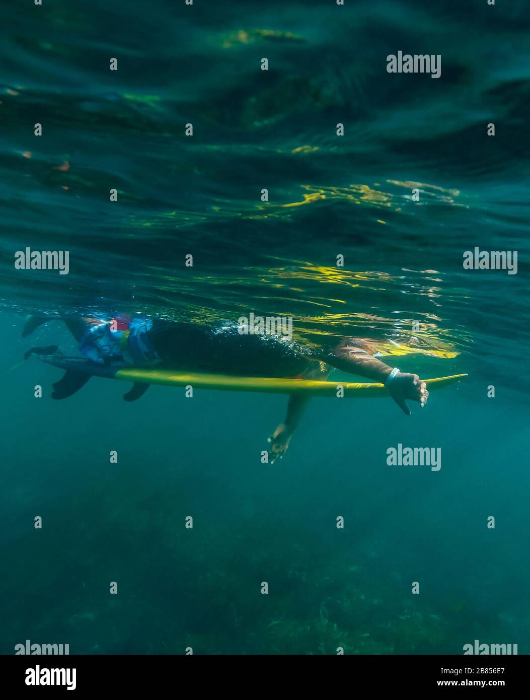 Underwater activity hi-res stock photography and images - Alamy