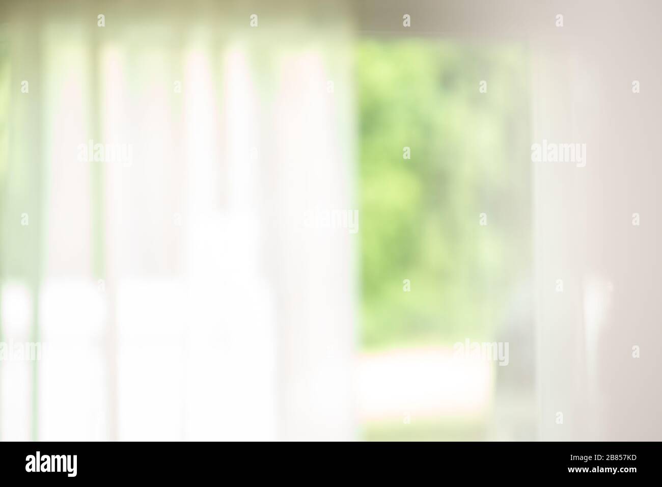blur curtain with window green garden from background. For montage ...