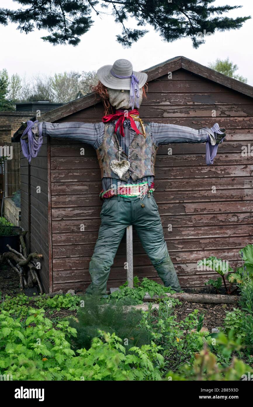 Scarecrow in vegetable garden in spring Stock Photo - Alamy