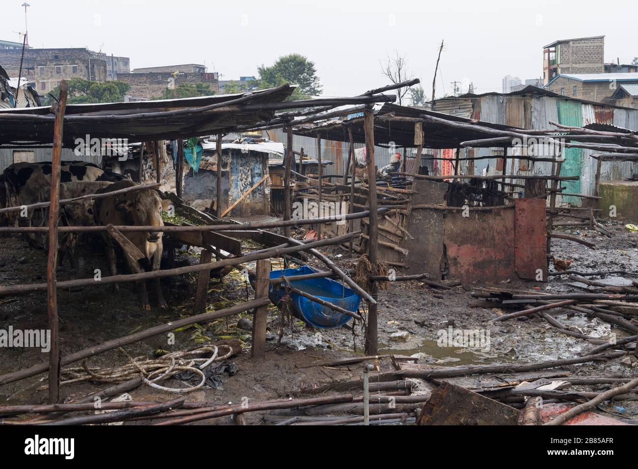 Urban slums hi-res stock photography and images - Alamy
