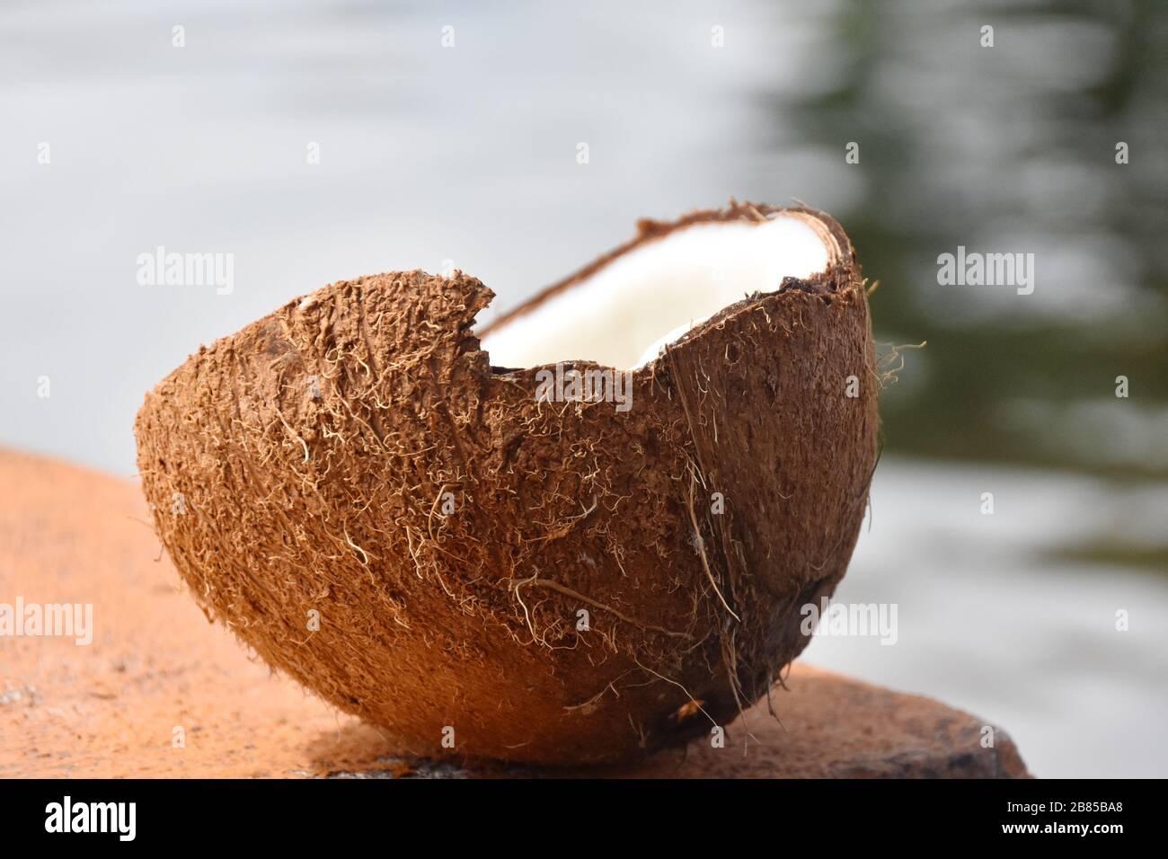Coconut mauritius hi-res stock photography and images - Alamy